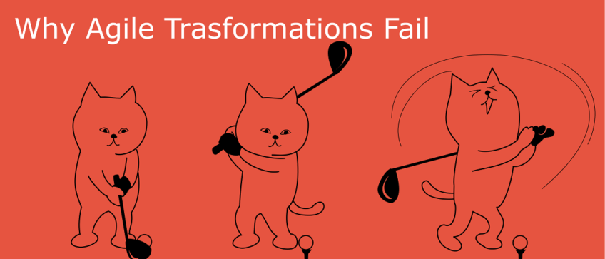 WHY AGILE TRANSFORMATIONS FAIL | Krosswall Blog | Agile Project ... WHY AGILE TRANSFORMATIONS FAIL | Krosswall Blog | Agile Project ...